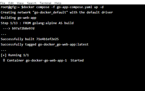 How to Deploy a Go Web Application with Docker? - GeeksforGeeks