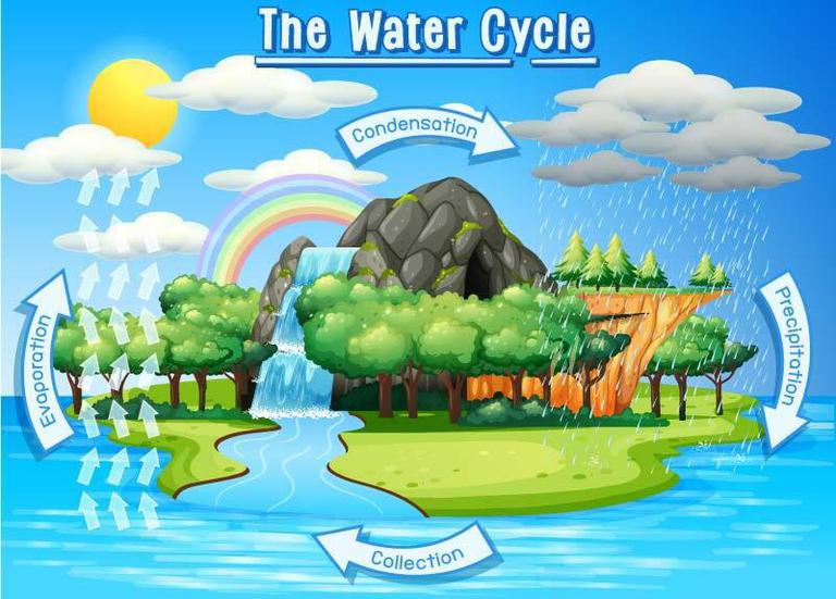 What is Nutrient Cycling? - GeeksforGeeks