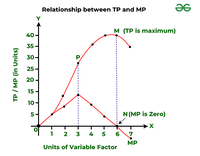Relationship between TP, MP, and AP - GeeksforGeeks