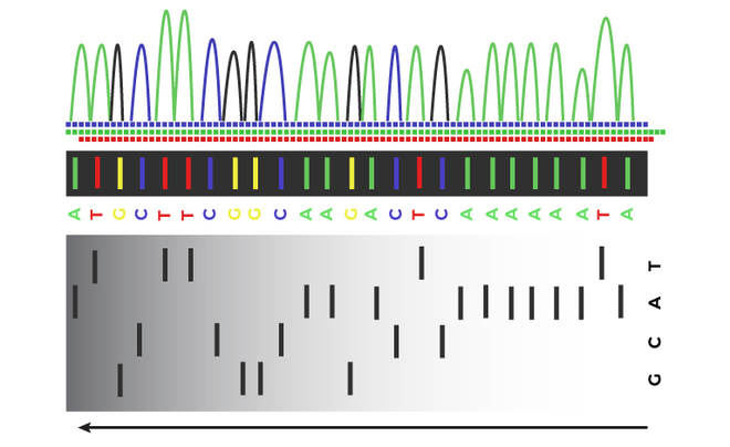 Molecular Diagnosis - GeeksforGeeks
