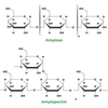 Difference Between Amylose And Amylopectin - GeeksforGeeks
