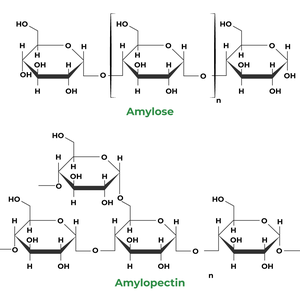 Difference Between Amylose And Amylopectin - GeeksforGeeks