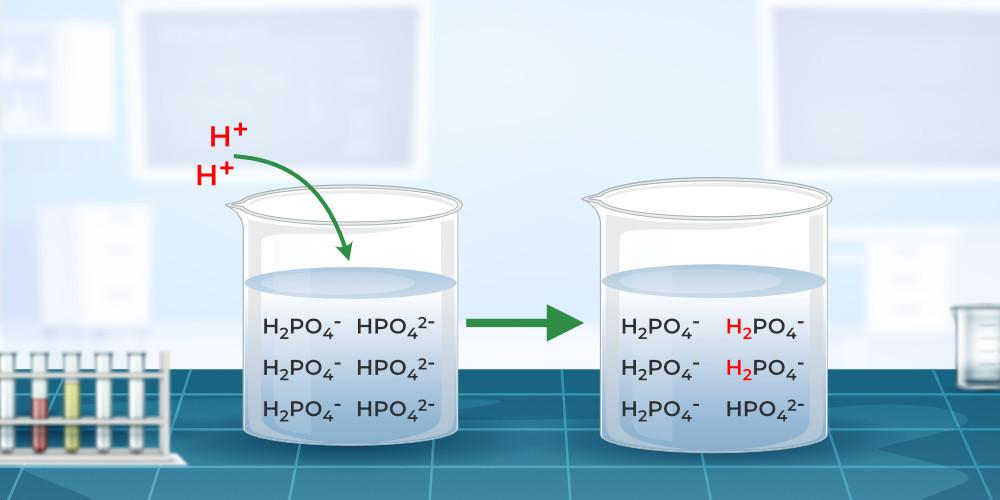Buffer Solution Definition Types Formula Examples And FAQs Buffer Solution Definition Types Formula Examples And FAQs
