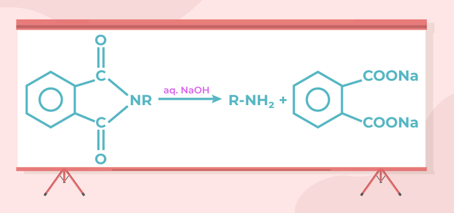 CBSE Class 12 Chemistry Previous Year Question Paper 2022 - GeeksforGeeks