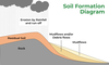 Soil Formation - GeeksforGeeks