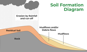 Soil Formation - GeeksforGeeks