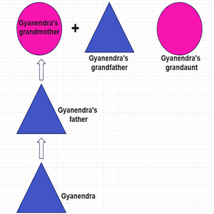Puzzle - Blood Relation - GeeksforGeeks