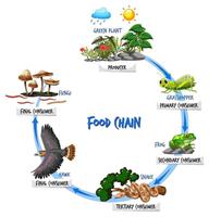 CBSE Class 10 Chapter 13 Our Environment Notes - GeeksforGeeks