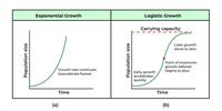 Organism and Population Notes Class 12 Biology Chapter 11 - GeeksforGeeks