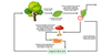 Ecosystem Notes Class 12 Biology Chapter 12 - GeeksforGeeks