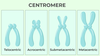 NCERT Solutions for Class 11 Biology Chapter 8 Cell The Unit of Life ...