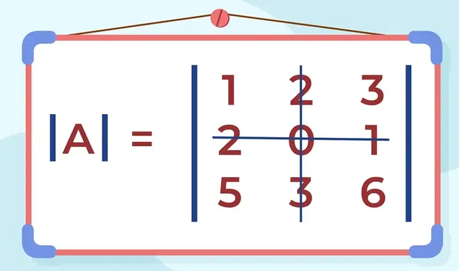 Minors and Cofactors - GeeksforGeeks