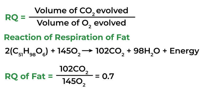 NCERT Solutions for Class 11 Biology Chapter 12 Respiration in Plants