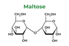 NCERT Solutions for class 11 Biology Chapter 9 - Biomolecules ...