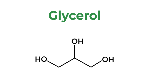 NCERT Solutions for class 11 Biology Chapter 9 - Biomolecules ...