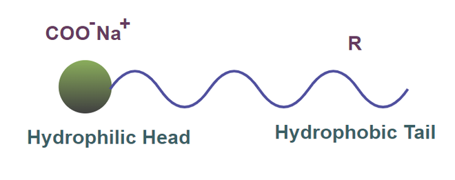 Difference Between Soap and Detergent - GeeksforGeeks