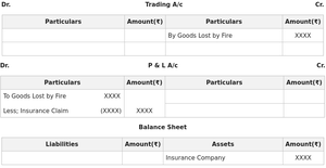 Financial Statement with Adjustment-Loss of Insured Goods & Assets (All ...