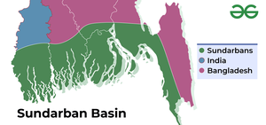 Geographical Overview of Sundarban Basin - GeeksforGeeks