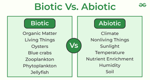 What are the Biotic and Abiotic resources? - GeeksforGeeks