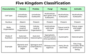Biological Classification - Definition, Basis of Classification, FAQs