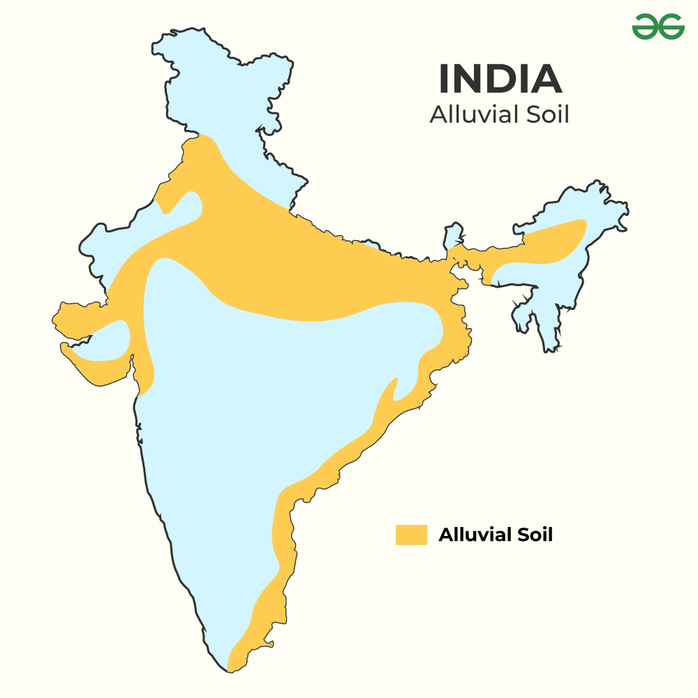 What type of soil is found in the river deltas of the eastern coast ...