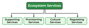 Types of Ecosystem Services - CBSE Class 12- Ecosystem - GeeksforGeeks