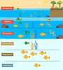 Five Levels of Ecology - GeeksforGeeks