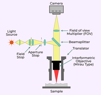 Microscopy - GeeksforGeeks
