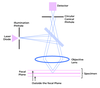 Microscopy - GeeksforGeeks