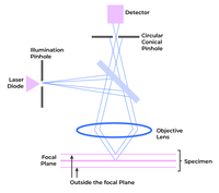 Microscopy - GeeksforGeeks