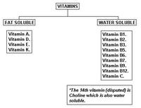 Scientific Name of Vitamins and Their Sources - GeeksforGeeks