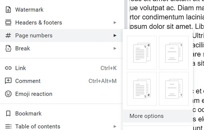 Adding Page Numbers in Google Docs - GeeksforGeeks