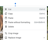 How to Add Captions to Images in Google Docs - GeeksforGeeks