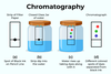 Chromatography - GeeksforGeeks