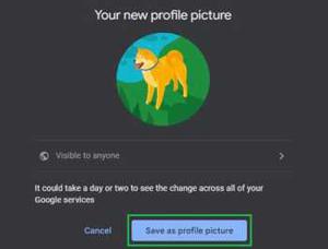 How To Change Your Gmail Profile Picture? - GeeksforGeeks