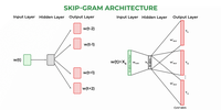 Comparison Between CBOW and Skip-Gram Models - GeeksforGeeks