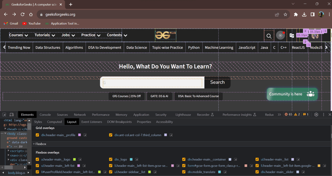 Layout Tab in Google Chrome Browser - GeeksforGeeks