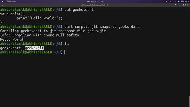 Compiling Dart Program using multiple options - GeeksforGeeks
