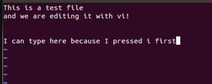 how to Enter in Editing Mode in VI Editor - GeeksforGeeks