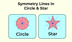 Line of Symmetry - GeeksforGeeks