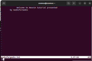 Install and Use Neovim on Ubuntu - GeeksforGeeks