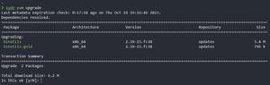YUM vs. APT: What's the Difference? - GeeksforGeeks