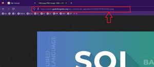 How to Copy a Web Image's URL? - GeeksforGeeks