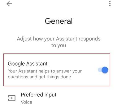 How to Set Up 'OK Google' on iOS and Android? - GeeksforGeeks