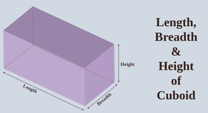 Cuboid - Shape and Properties - GeeksforGeeks