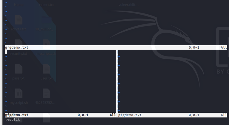 Vim Text Buffers in Linux - GeeksforGeeks
