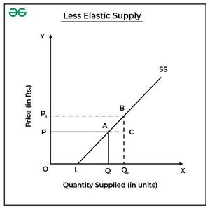 Price Elasticity of Supply : Type, Determinants and Methods - GeeksforGeeks