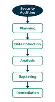 What is Security Auditing in Security Testing? - GeeksforGeeks
