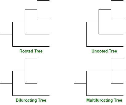 What is Evolution? - GeeksforGeeks
