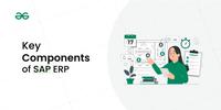 SAP ERP: Components, Working Process and Advantages - GeeksforGeeks